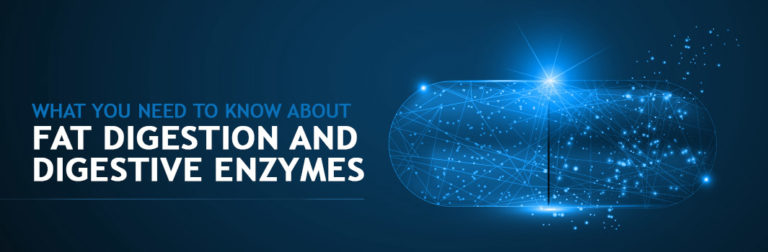 What You Need to Know About Fat Digestion and Digestive Enzymes ...
